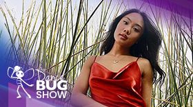 From The Big Screen To The Dancebug Screen And Back To The Big Screen ...